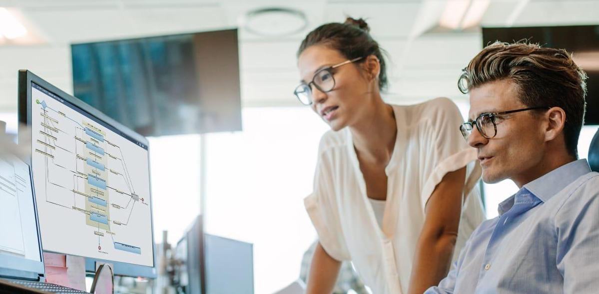 SAS Consulting | SAS